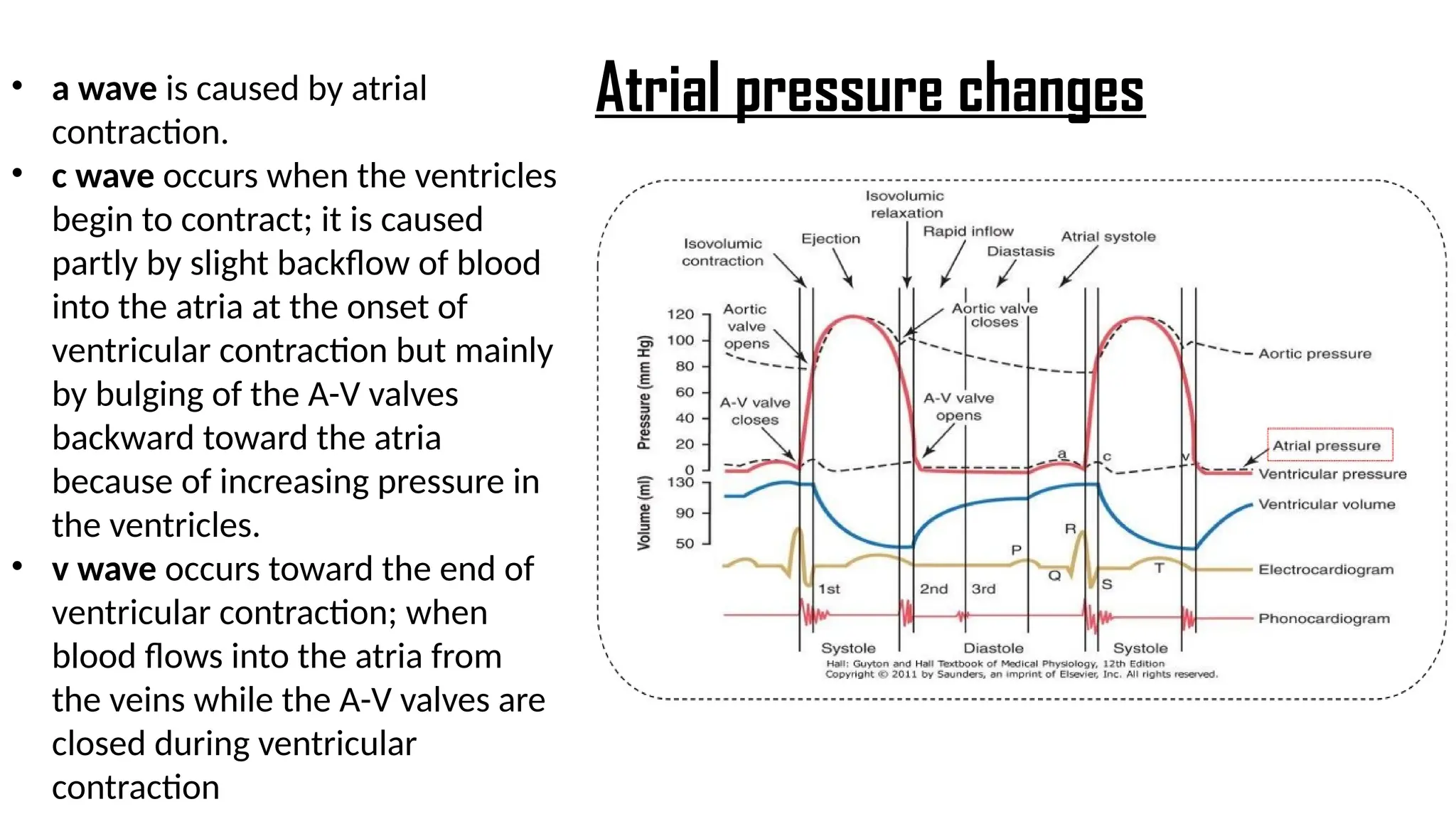 cardiac cycle basics and anesthetic implication | PPTX
