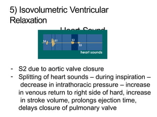 CARDIAC CYCLE. Anatomy physiology functions and principles in ...