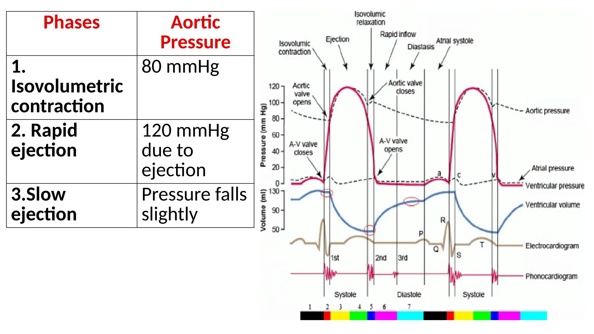 physiological event during cardiac cycle | PPTX