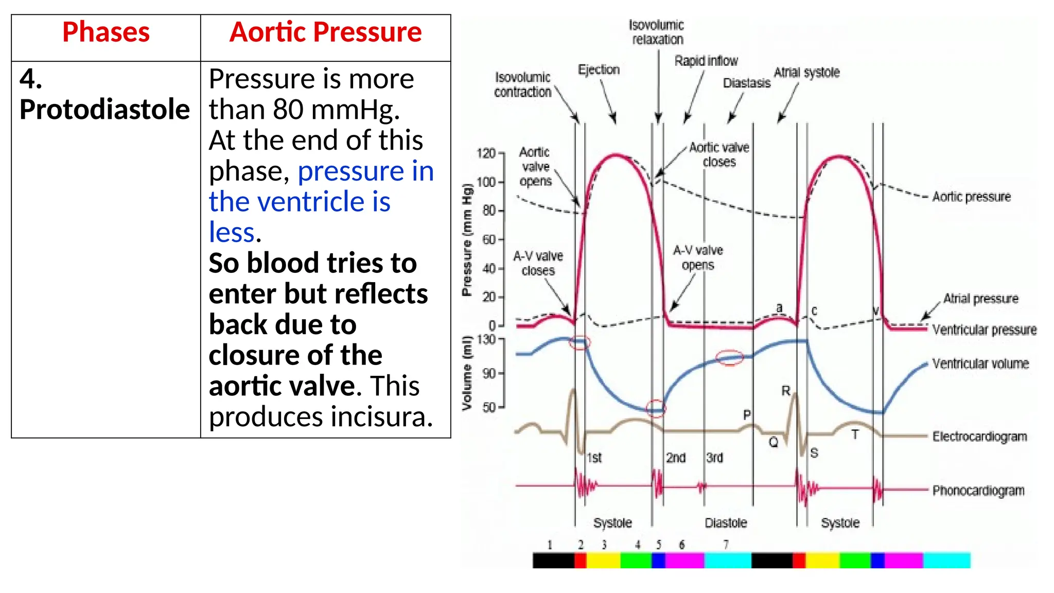 physiological event during cardiac cycle | PPTX