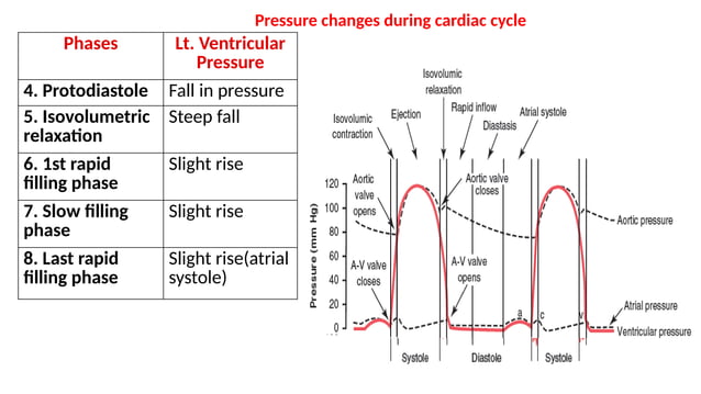 physiological event during cardiac cycle | PPT