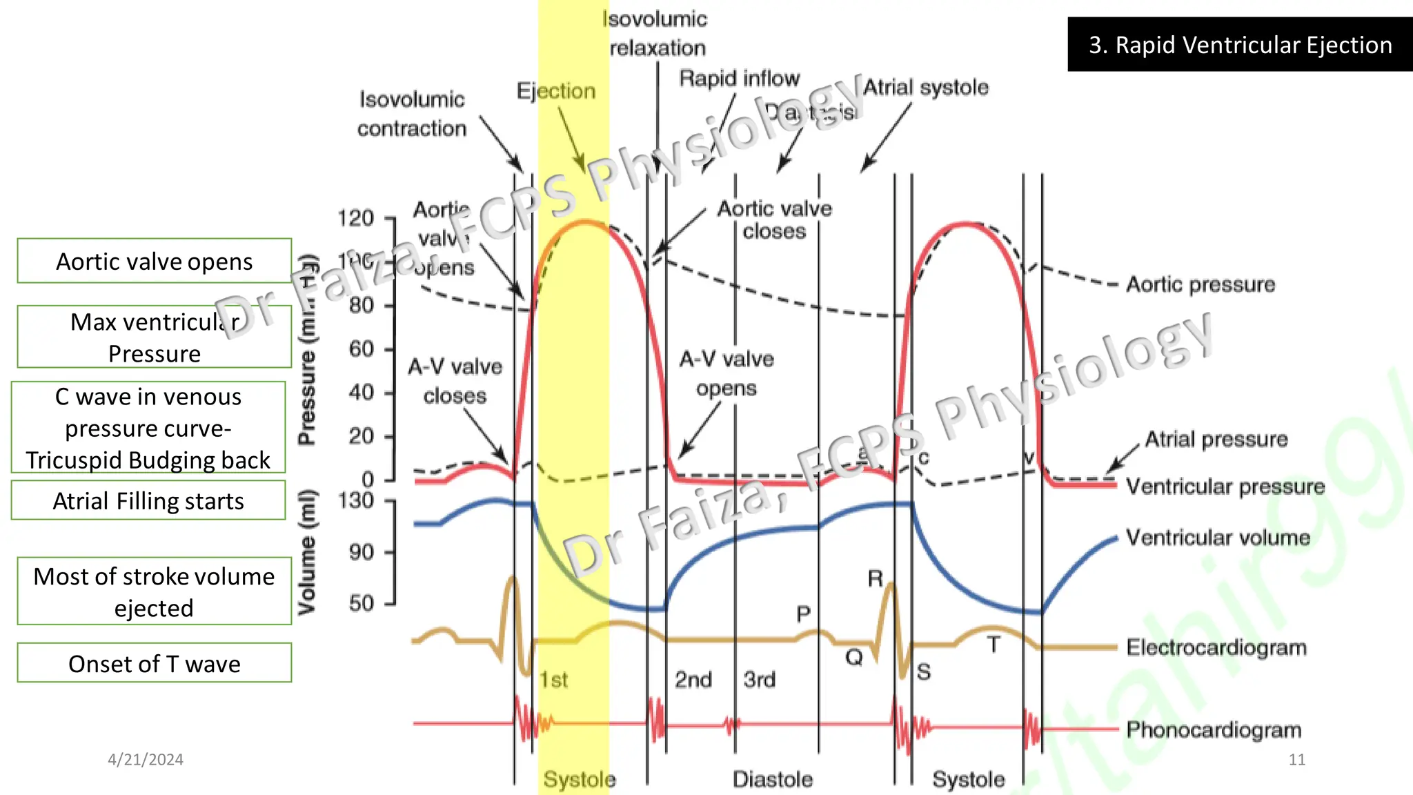 Cardiac Cycle Physiology Wiggers diagram.pdf
