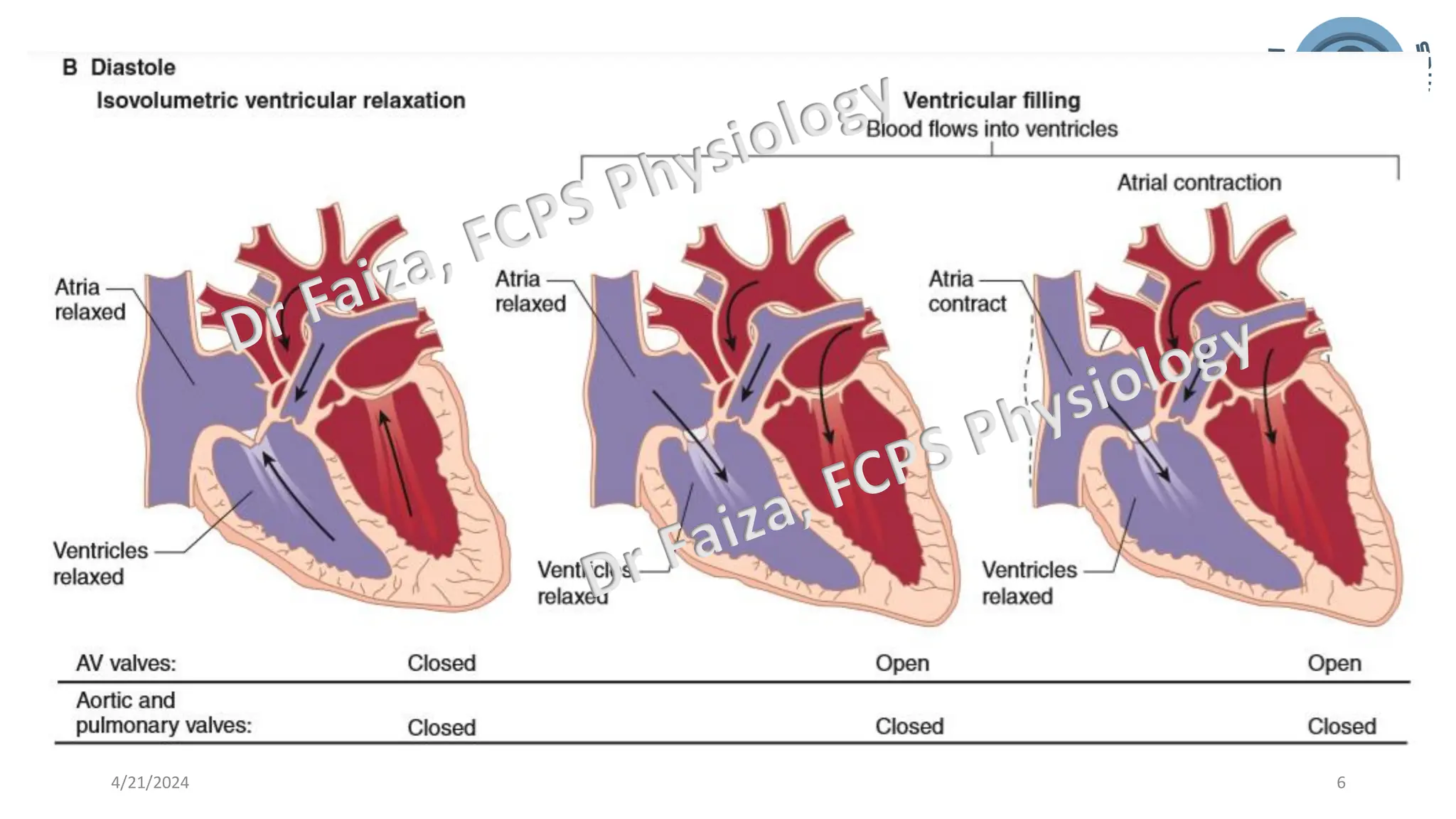 Cardiac Cycle Physiology Wiggers diagram.pdf