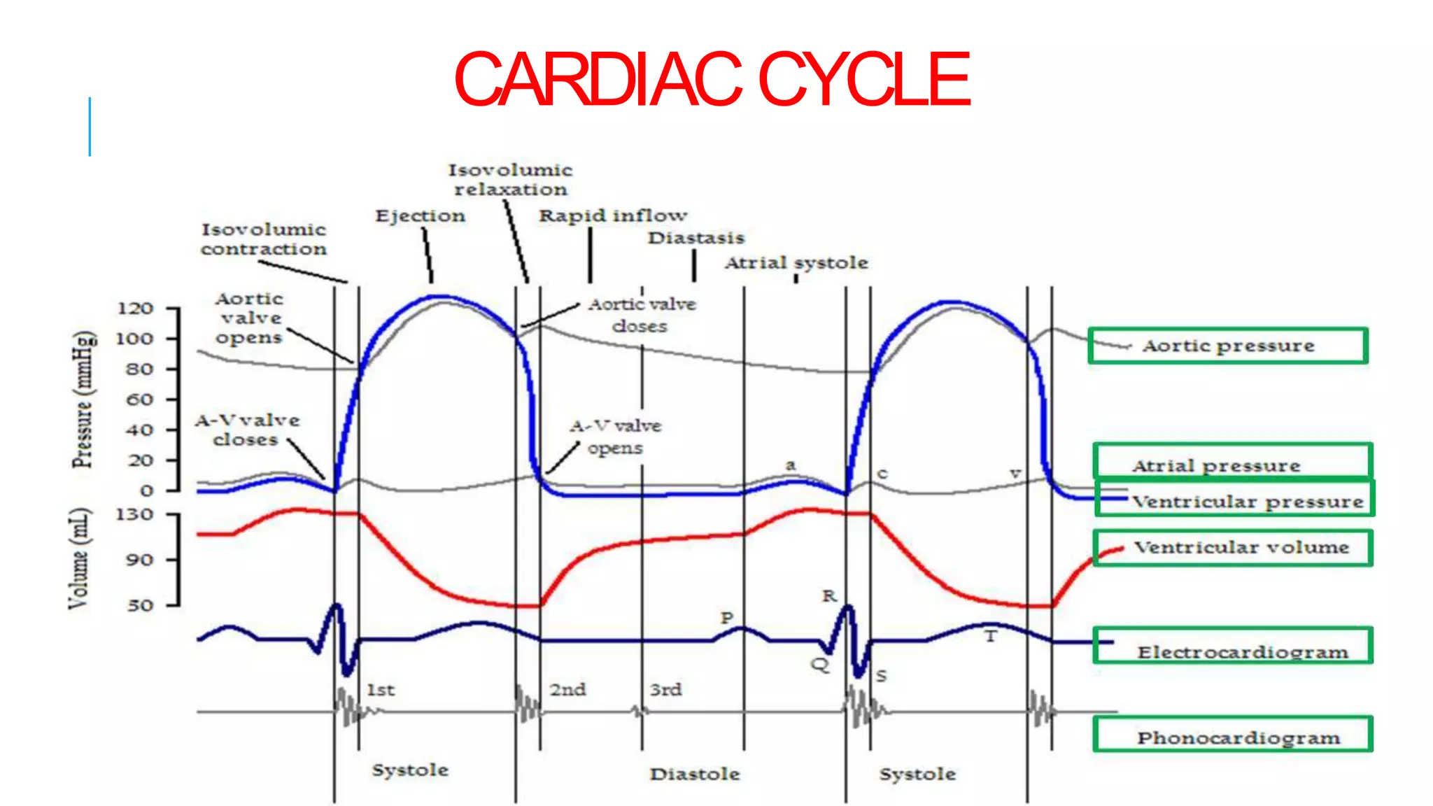 Cardiac cycle- day 4.pptx