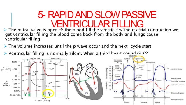Cardiac cycle- day 4.pptx