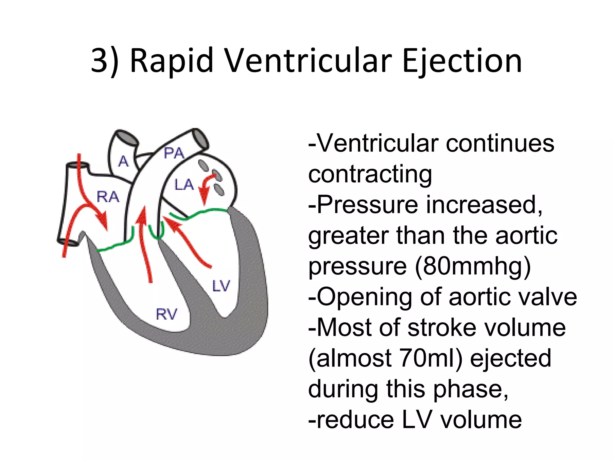 Cardiac cycle | PPT