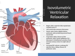 Cardiac Cycle important features pw.pptx