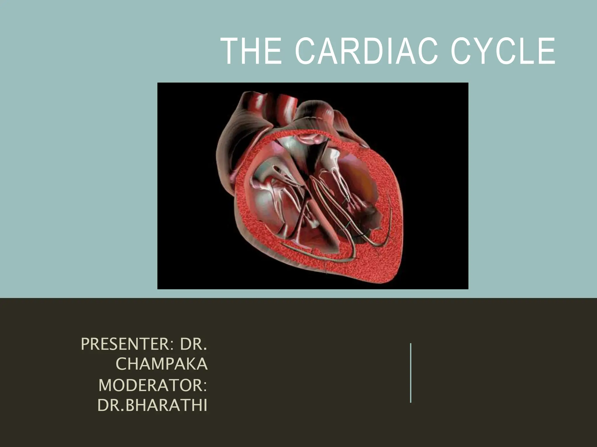 CARDIAC CYCLE-The cardiac cycle is the performance of the human heart ...