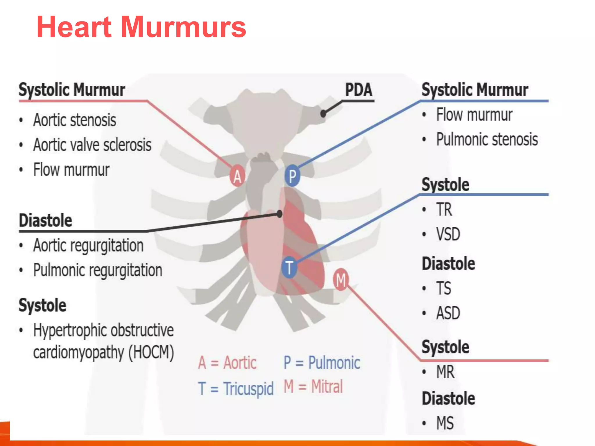 Cardiac Cycle 01.pptx