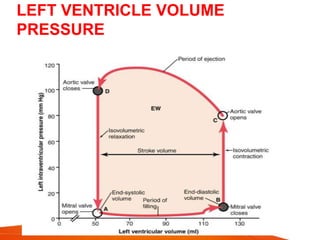 Cardiac Cycle 01.pptx