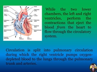 Cardiac cycle (Human Heart) | PPTX