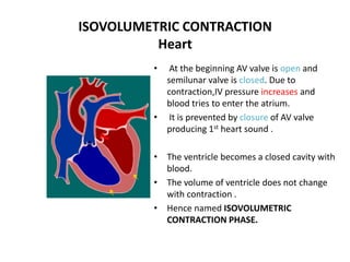 Cardiac Cycle 5.pptx