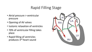 CARDIAC CYCLE AND DERTERMINANTS OF CARDIAC OUTPUT.pptx