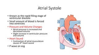 CARDIAC CYCLE AND DERTERMINANTS OF CARDIAC OUTPUT.pptx