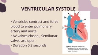 Cardiac cycle and ECG physiology ppt.pptx