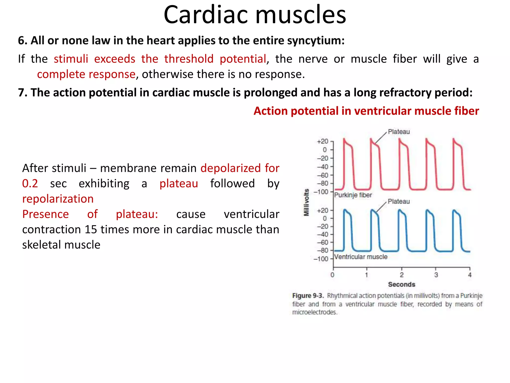 Heart - Blood Circulation and Function of cardiac muscles | PPT | Free ...