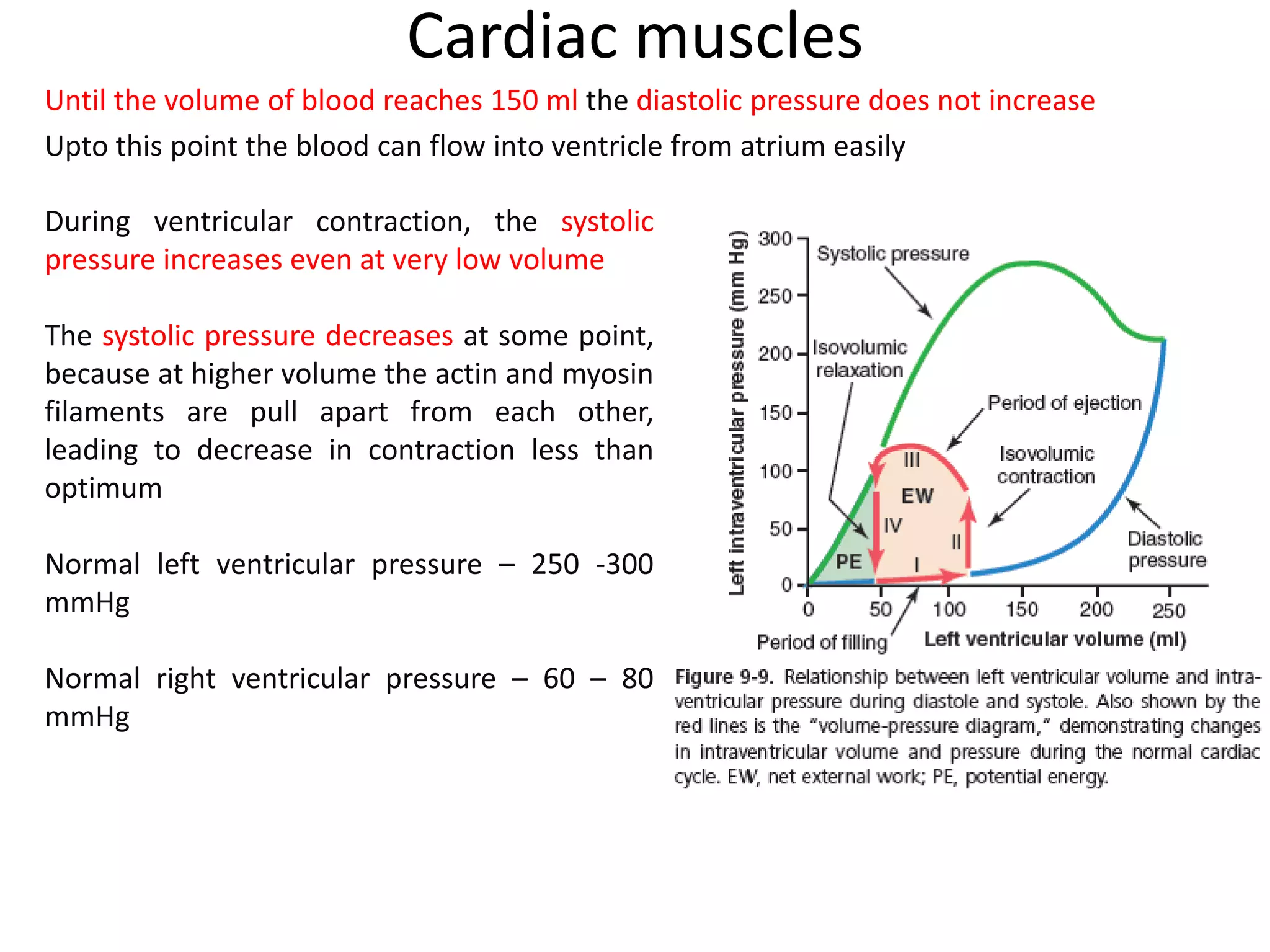 Heart - Blood Circulation and Function of cardiac muscles | PPT