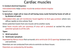 Heart - Blood Circulation and Function of cardiac muscles | PPT