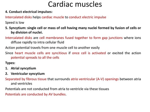 Heart - Blood Circulation and Function of cardiac muscles | PPT