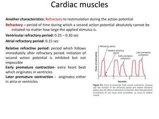 Heart - Blood Circulation and Function of cardiac muscles | PPT