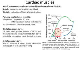 Heart - Blood Circulation and Function of cardiac muscles | PPT