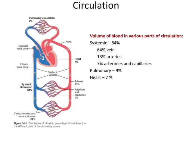 Heart - Blood Circulation and Function of cardiac muscles | PPT | Free ...