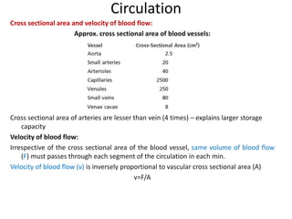 Heart - Blood Circulation and Function of cardiac muscles | PPT