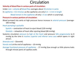Heart - Blood Circulation and Function of cardiac muscles | PPTX