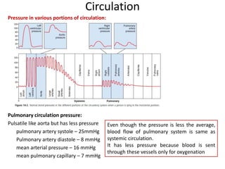 Heart - Blood Circulation and Function of cardiac muscles | PPT