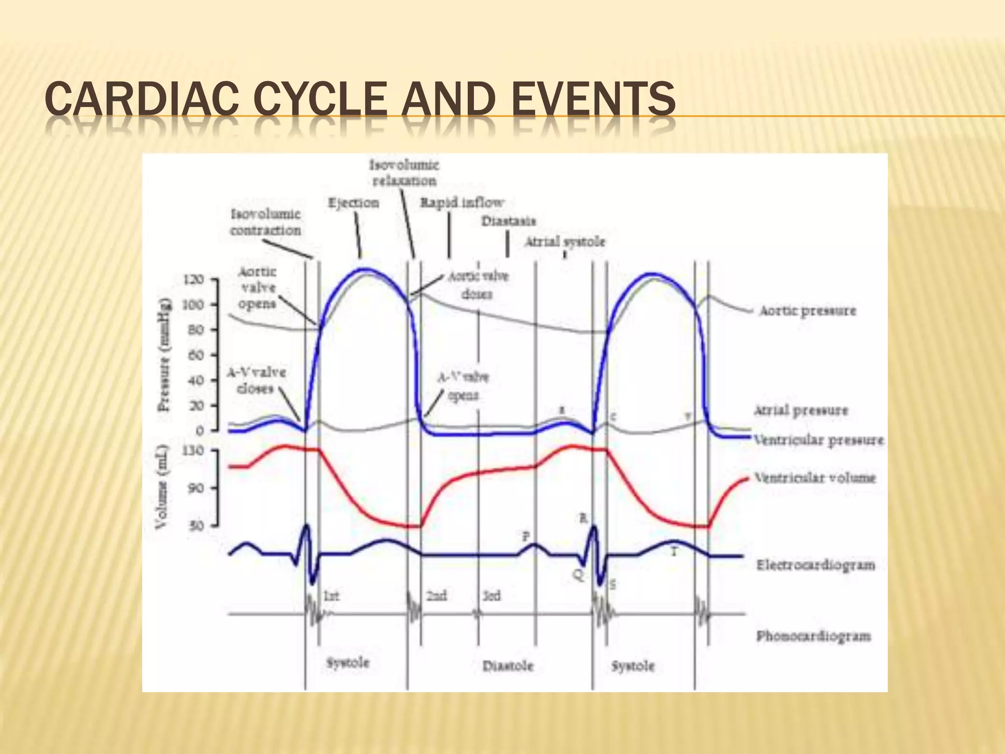 Cardiac cycle and jvp | PPTX