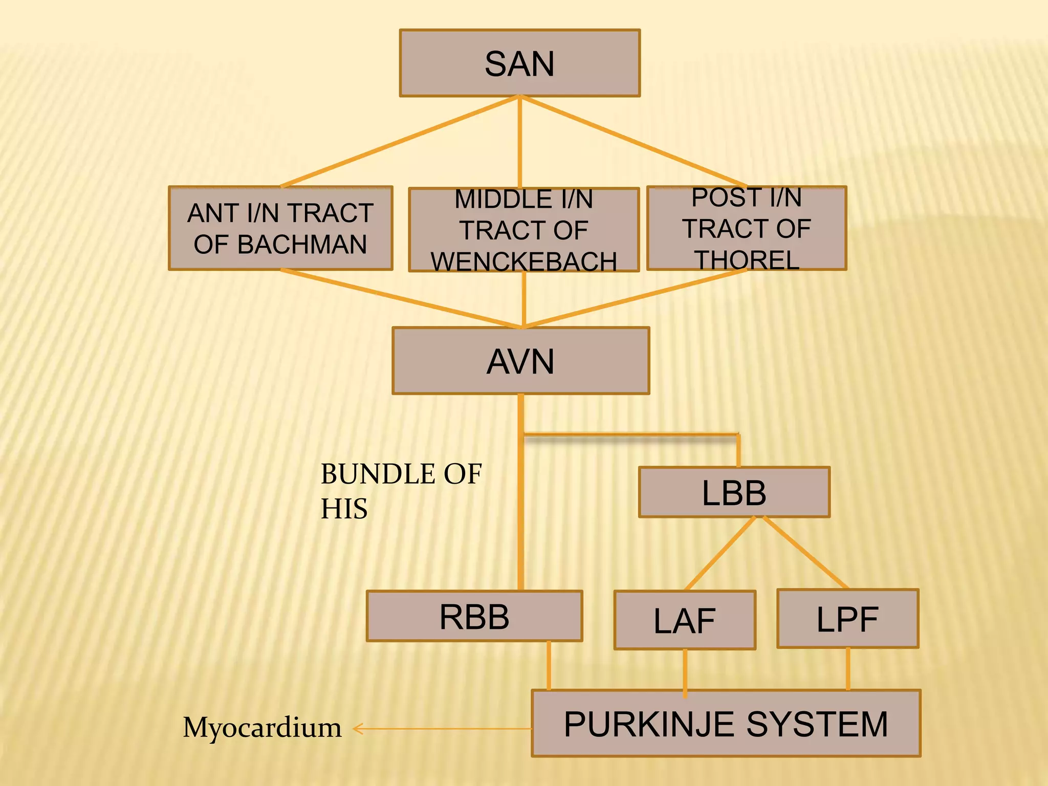 Cardiac cycle and jvp | PPTX