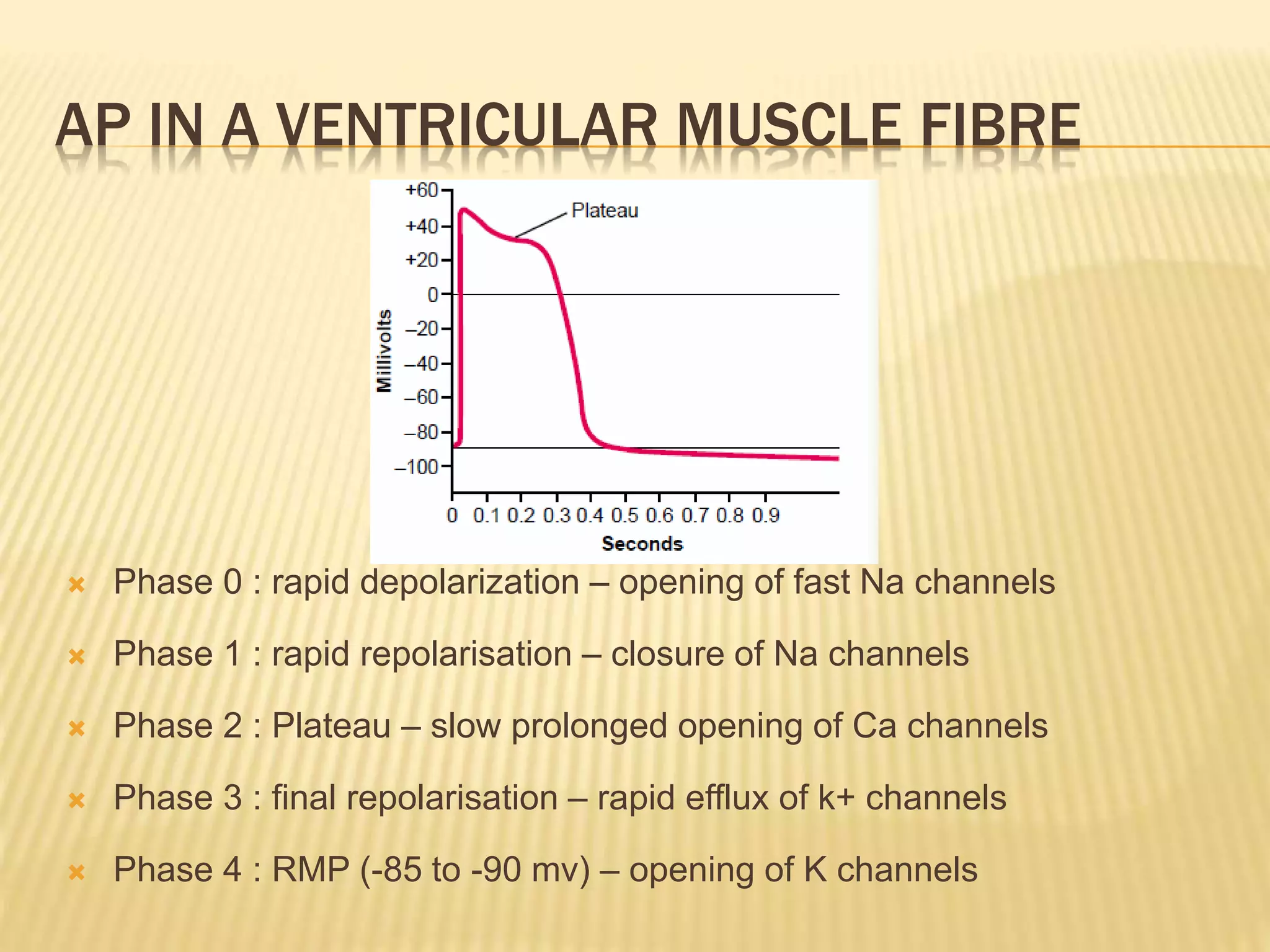 Cardiac cycle and jvp | PPTX