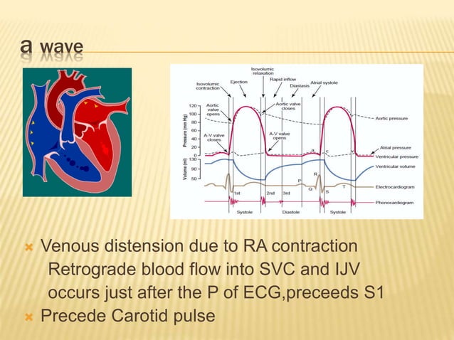Cardiac cycle and jvp | PPTX
