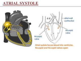 Cardiac cycle by dr ambareesha | PPSX