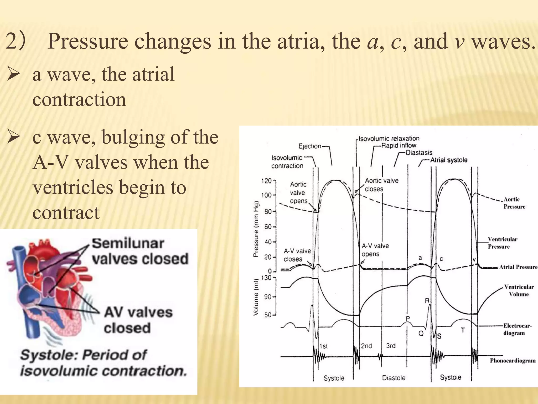 Cardiac cycle Physiology | PPTX