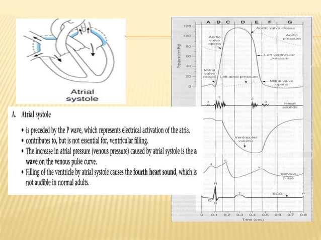 Cardiac cycle Physiology | PPTX | Heart and Cardiovascular Diseases ...