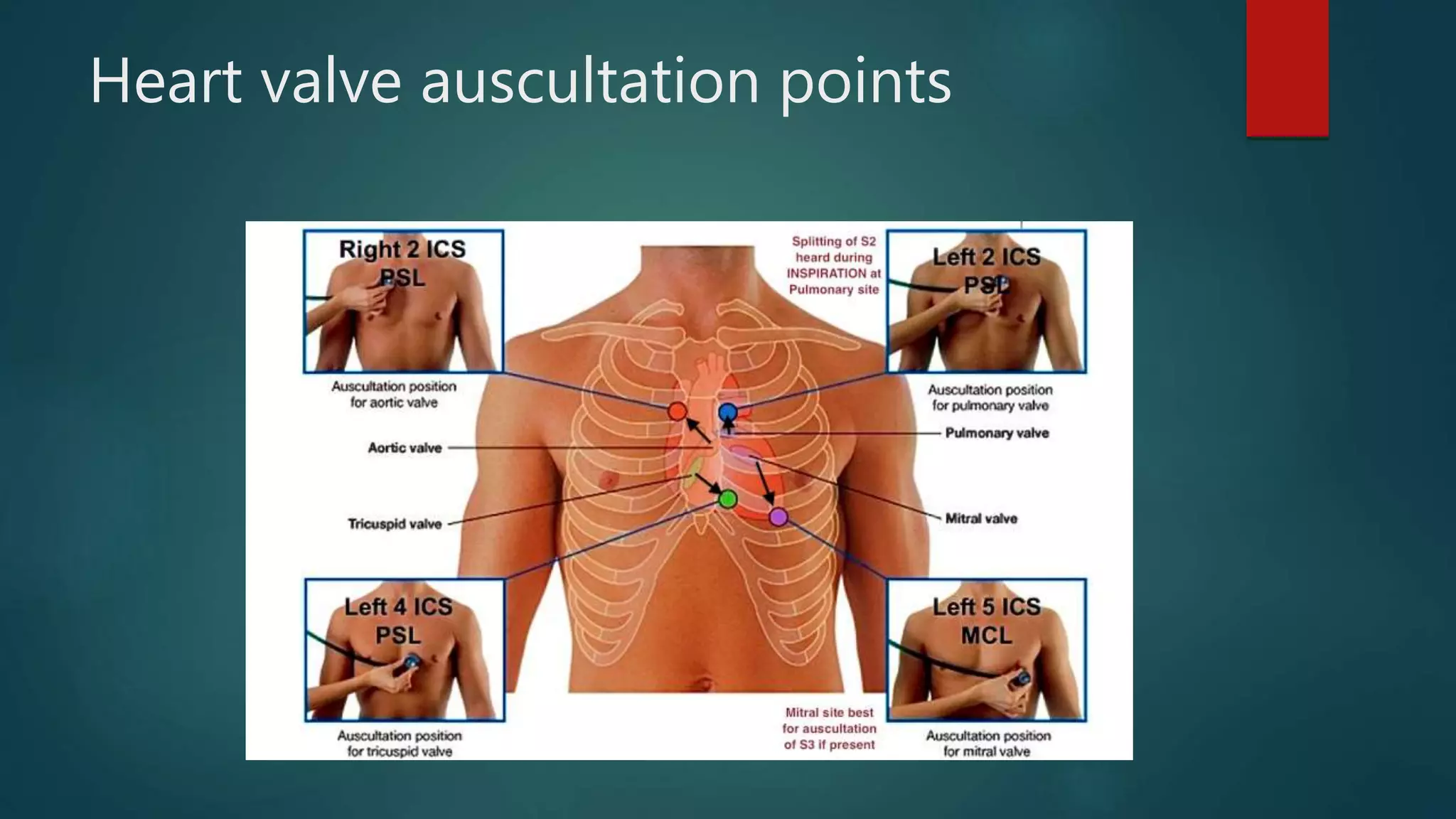 Cardiac cycle ecgs__murmurs | PPTX