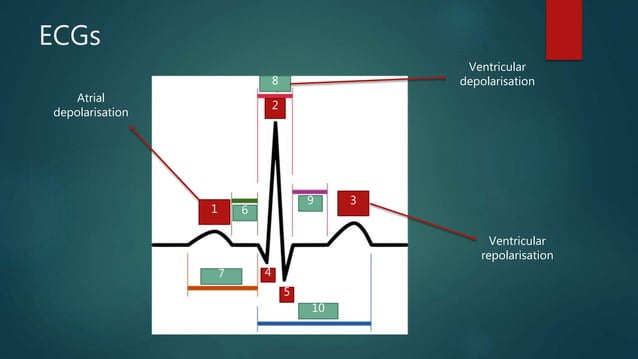 Cardiac cycle ecgs__murmurs | PPT