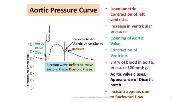 Cardiaccycle for share by prof. dr. muhammad abdul azeem