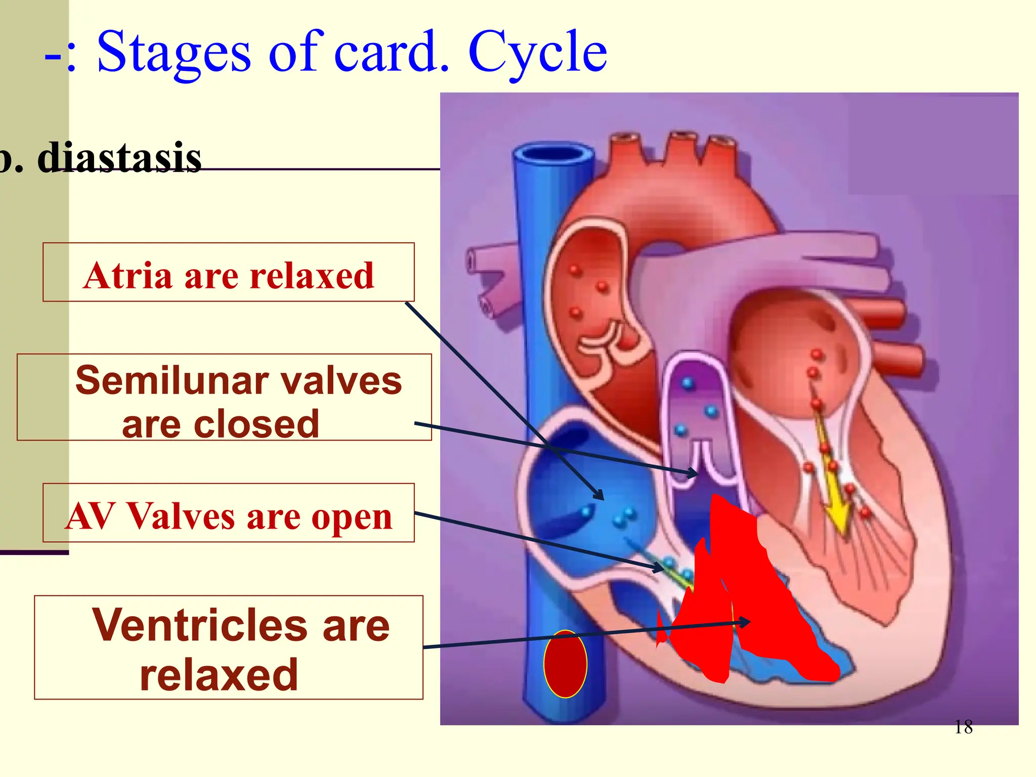 Cardiac Cycle, Heart Sounds, Cardiac Murmur. Physiology pptx | PPTX