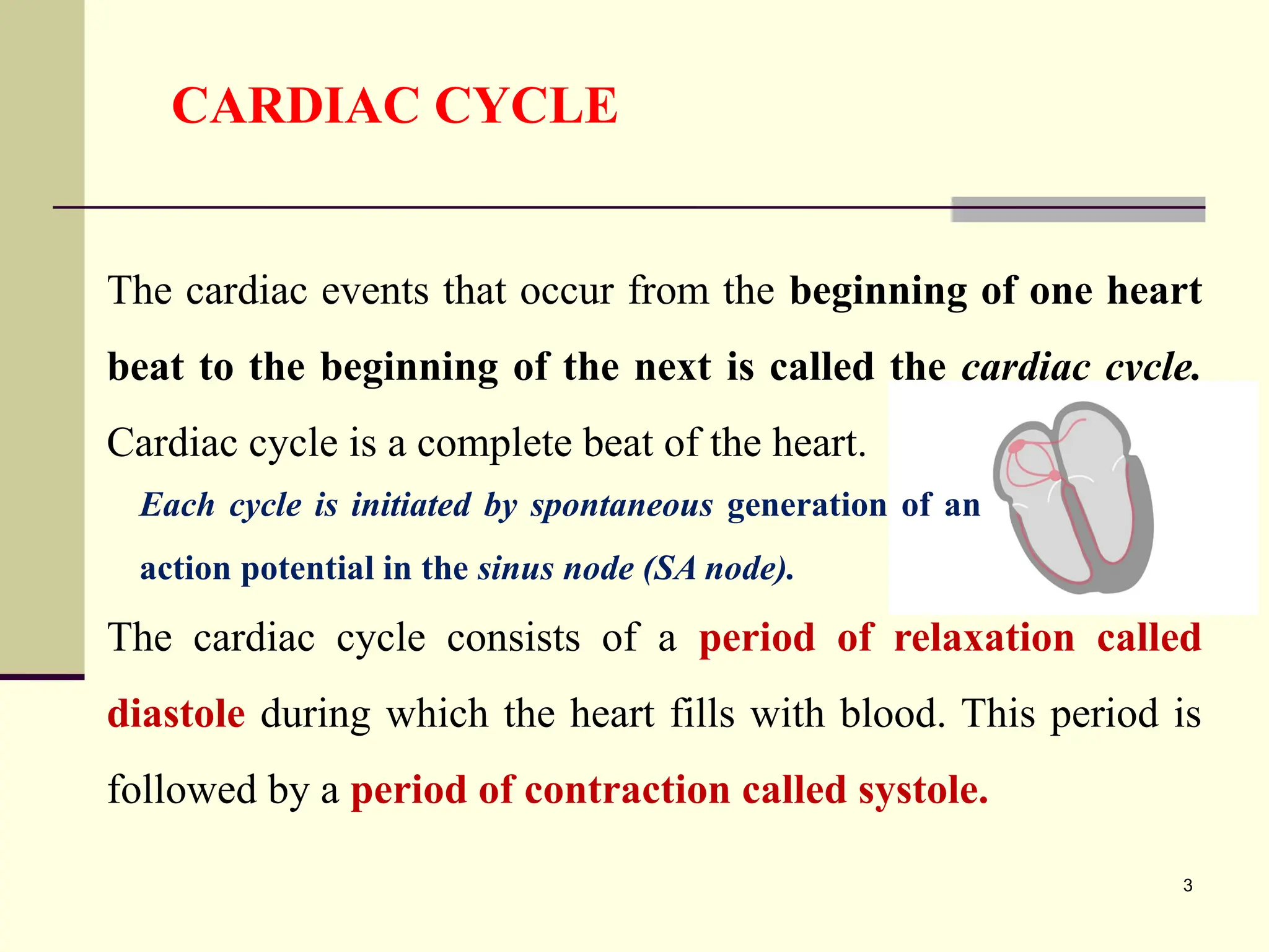 Cardiac Cycle, Heart Sounds, Cardiac Murmur. Physiology pptx | PPTX