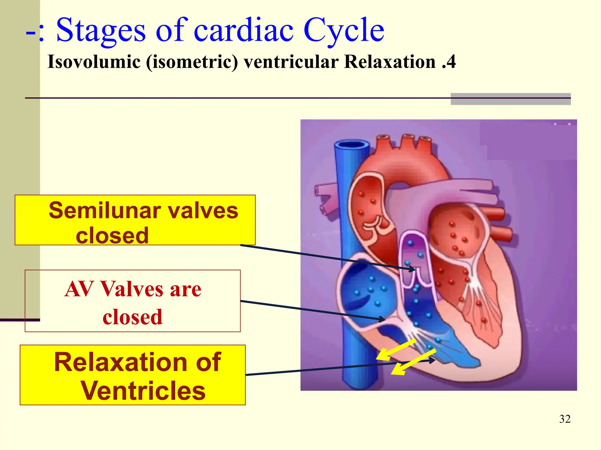 Cardiac Cycle, Heart Sounds, Cardiac Murmur. Physiology pptx | PPTX