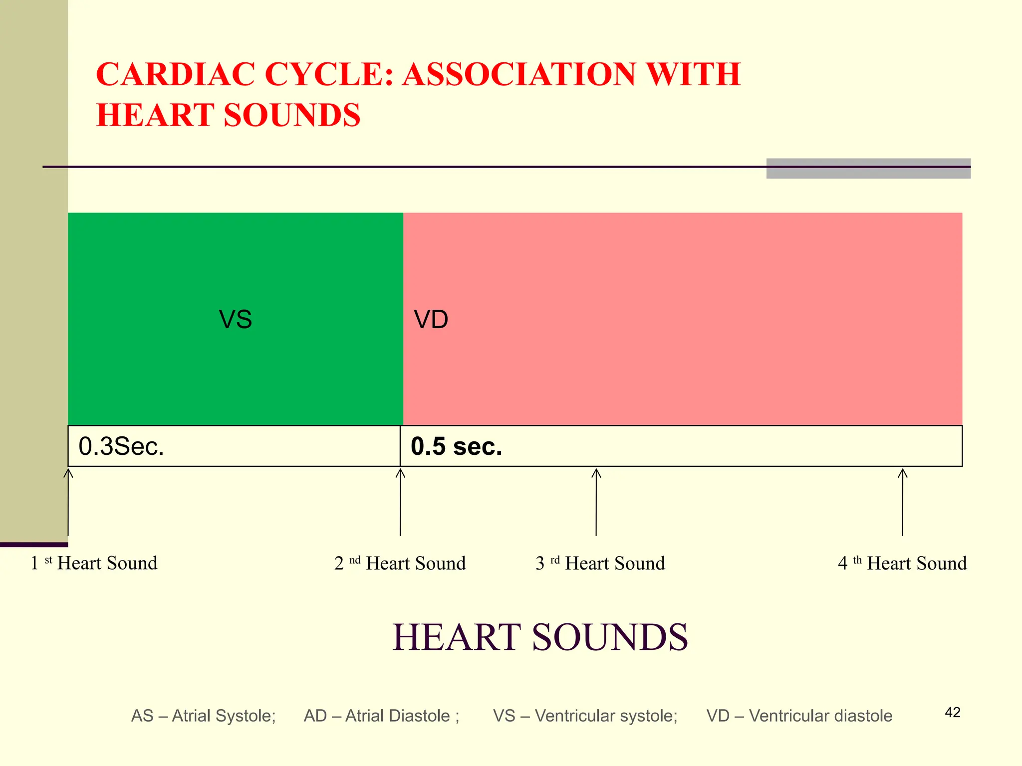 Cardiac Cycle, Heart Sounds, Cardiac Murmur. Physiology pptx | PPT