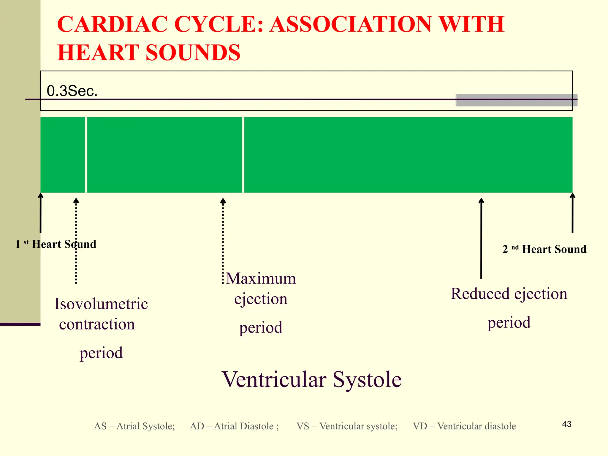 Cardiac Cycle, Heart Sounds, Cardiac Murmur. Physiology pptx | PPTX