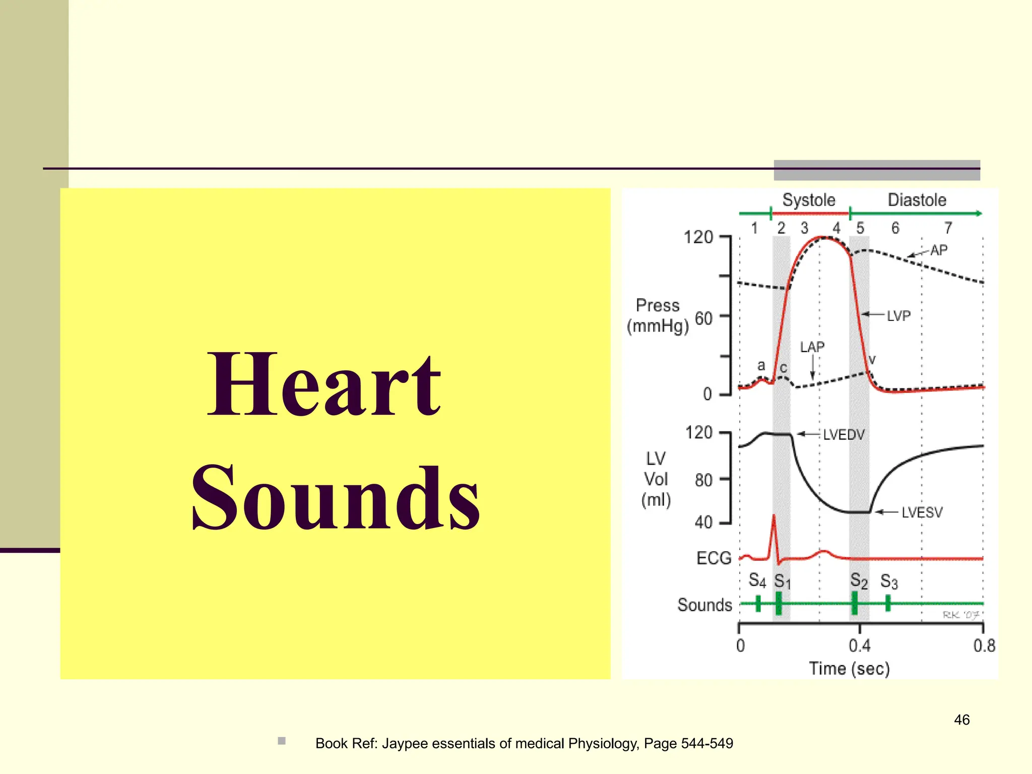 Cardiac Cycle, Heart Sounds, Cardiac Murmur. Physiology pptx | PPTX