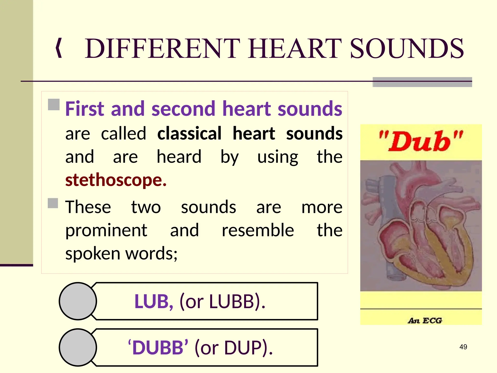 Cardiac Cycle, Heart Sounds, Cardiac Murmur. Physiology pptx | PPTX