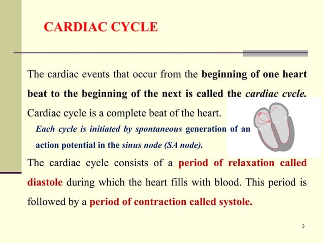 Cardiac Cycle, Heart Sounds, Cardiac Murmur. Physiology pptx | PPT
