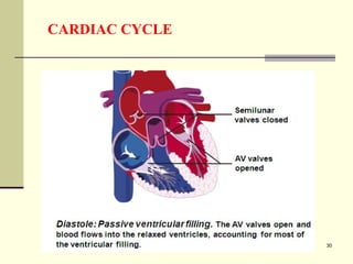 Cardiac Cycle, Heart Sounds, Cardiac Murmur. Physiology pptx | PPTX