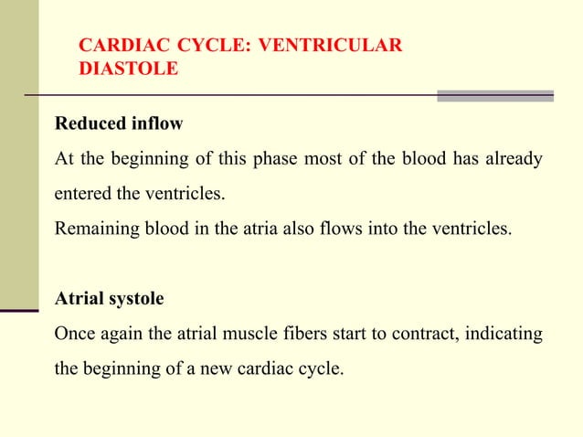 Cardiac Cycle, Heart Sounds, Cardiac Murmur. Physiology pptx | PPT