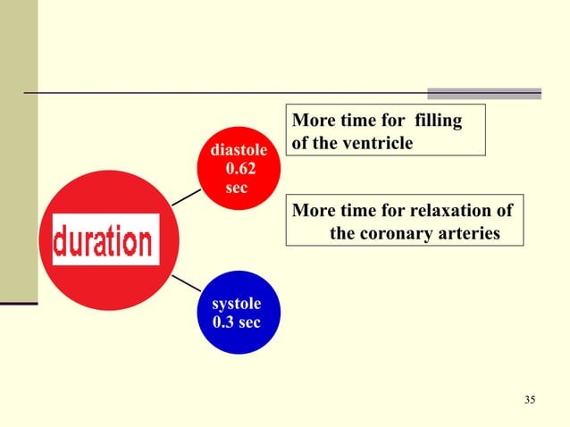 Cardiac Cycle, Heart Sounds, Cardiac Murmur. Physiology pptx | PPT